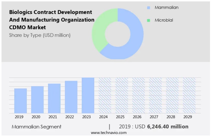글로벌 바이오 의약품 계약 개발 및 제조 조직(CDMO) 시장 : 유형별 (포유류, 미생물), 한국, 아시아, 미국, 2025-2029, 시장 규모 – H&I글로벌리서치